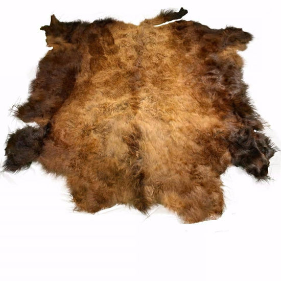 Bison Hide | White Peaks Bison | Parker, Co